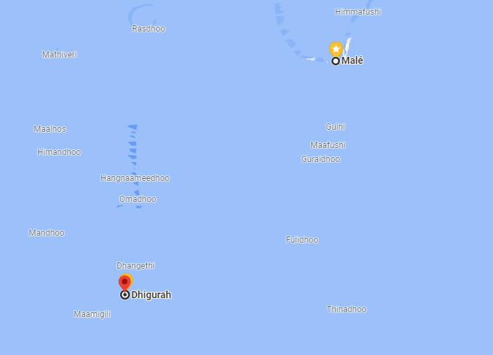 Tudo sobre a ilha de Dhigurah: nadando com tubarão baleia nas Maldivas