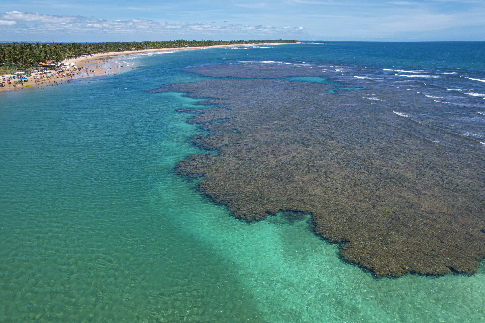 Tudo sobre a praia de Taipu de Fora: um paraíso na Bahia - Aventuras ...