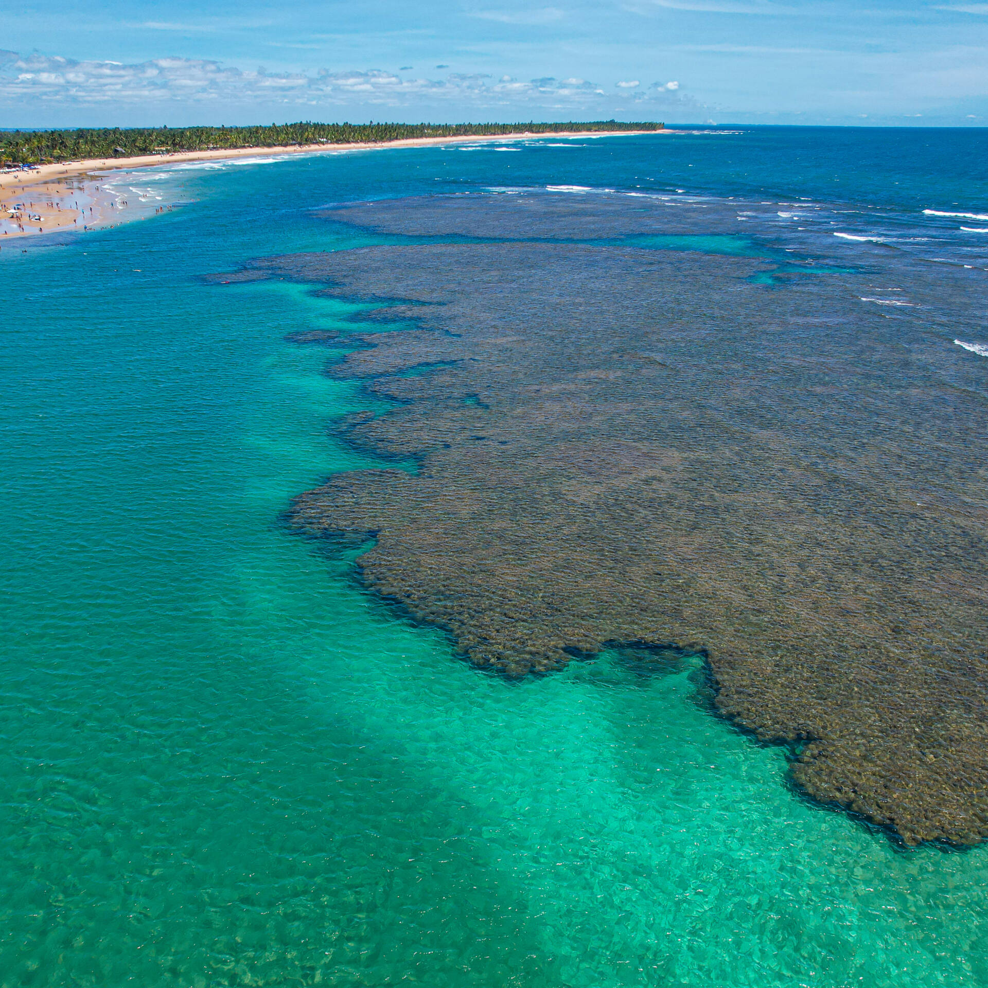 Tudo sobre a praia de Taipu de Fora: um paraíso na Bahia - Aventuras ...