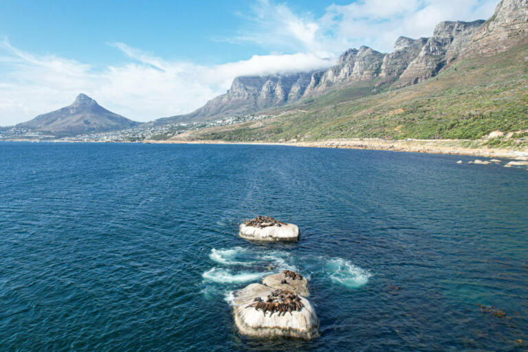Dicas da Cidade do Cabo: guia completo para planejar sua viagem ...